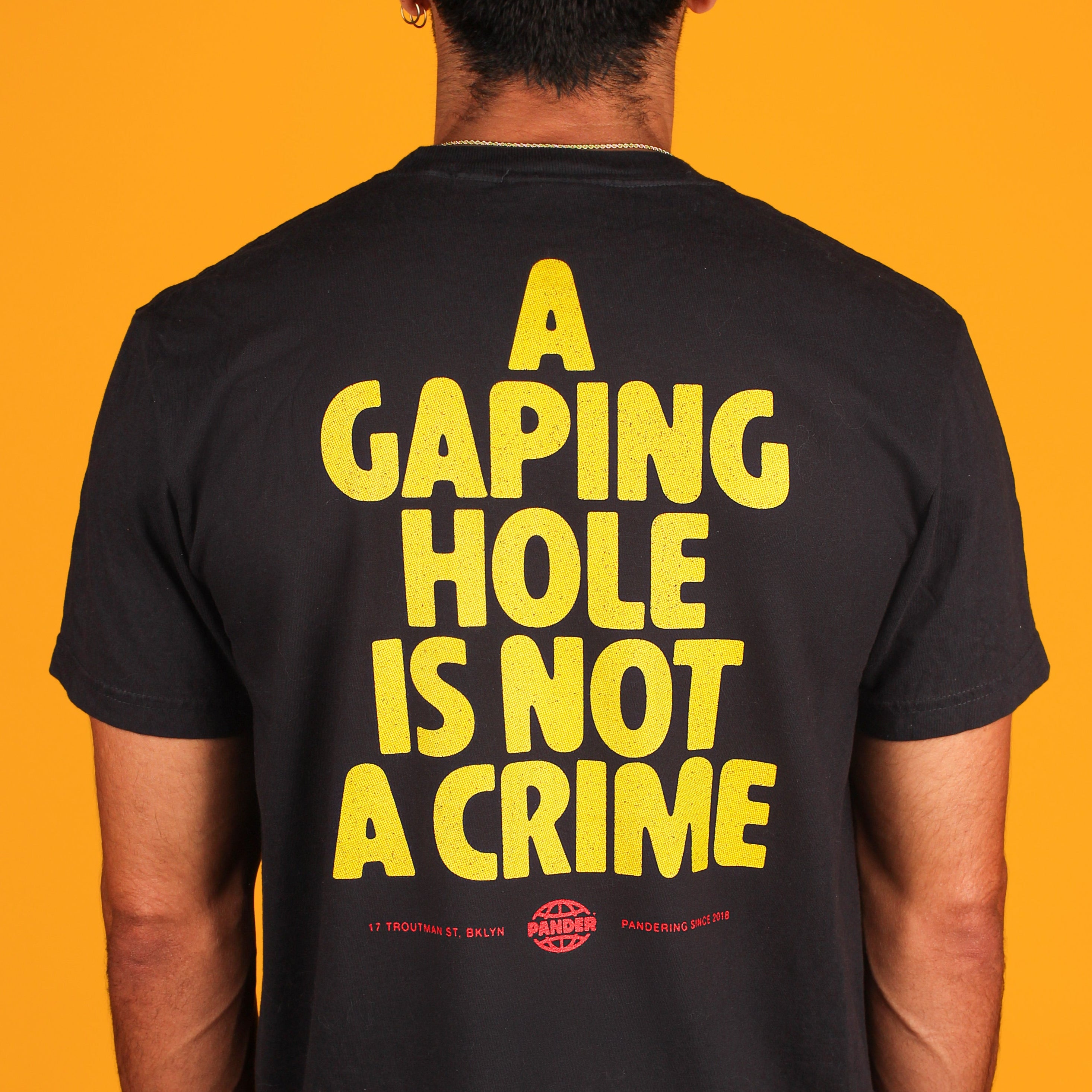 A Gaping Hole is Not a Crime T-Shirt – Pander Apparel
